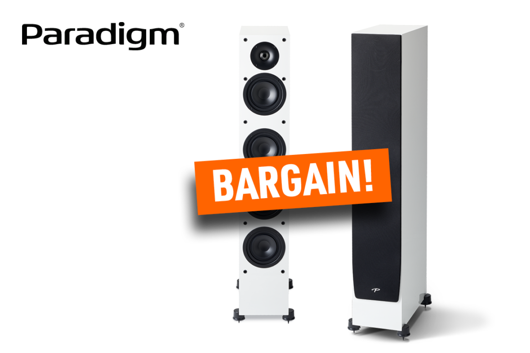 Paradigm Monitor SE 6000F Floor-Standing Speakers